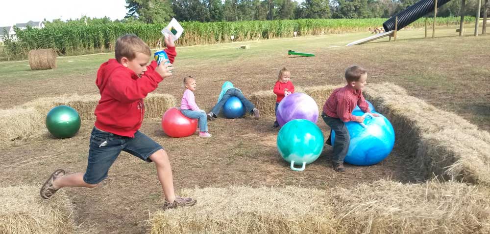 The Farmer's Barn Corn Maze, Family Fun, & Farm Fresh Produce